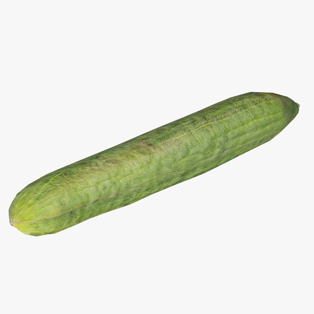 Scanned Cucumber 3D model - Download Vegetables on 3DModels.org