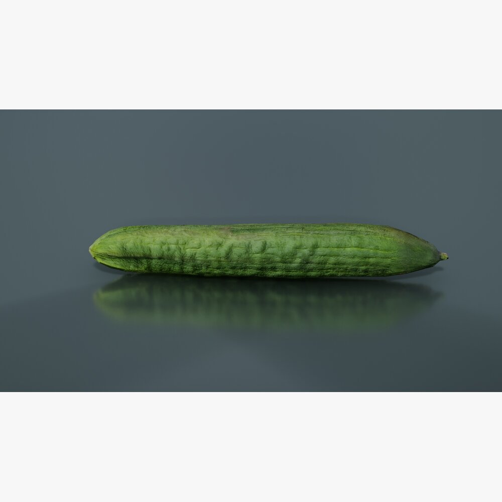Scanned Cucumber 3D model - Download Vegetables on 3DModels.org