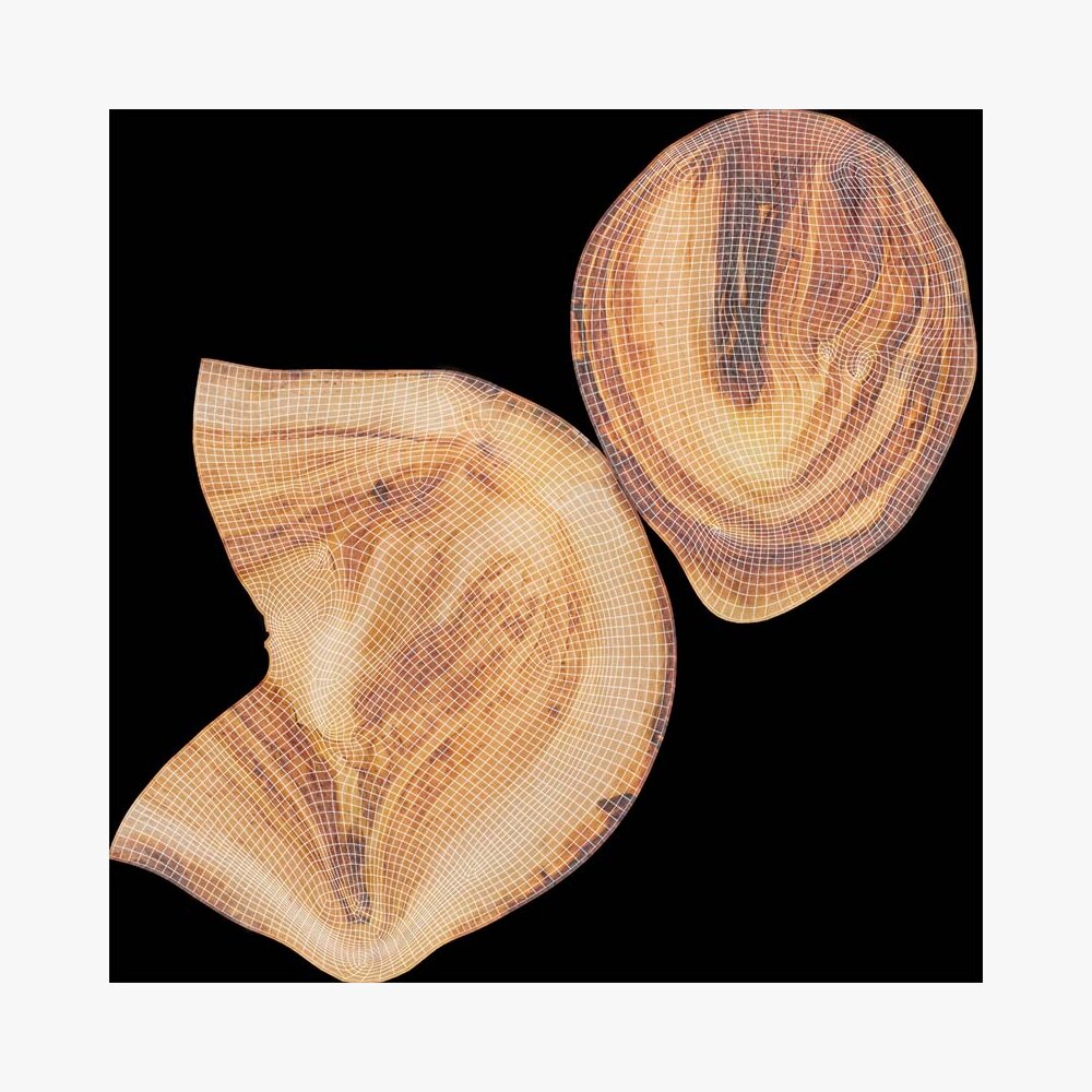Onion Slice Baked 3D model - Download Vegetables on 3DModels.org