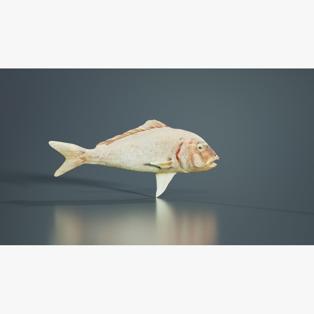 Prehistoric Fish 3D model - Download Fish on 3DModels.org