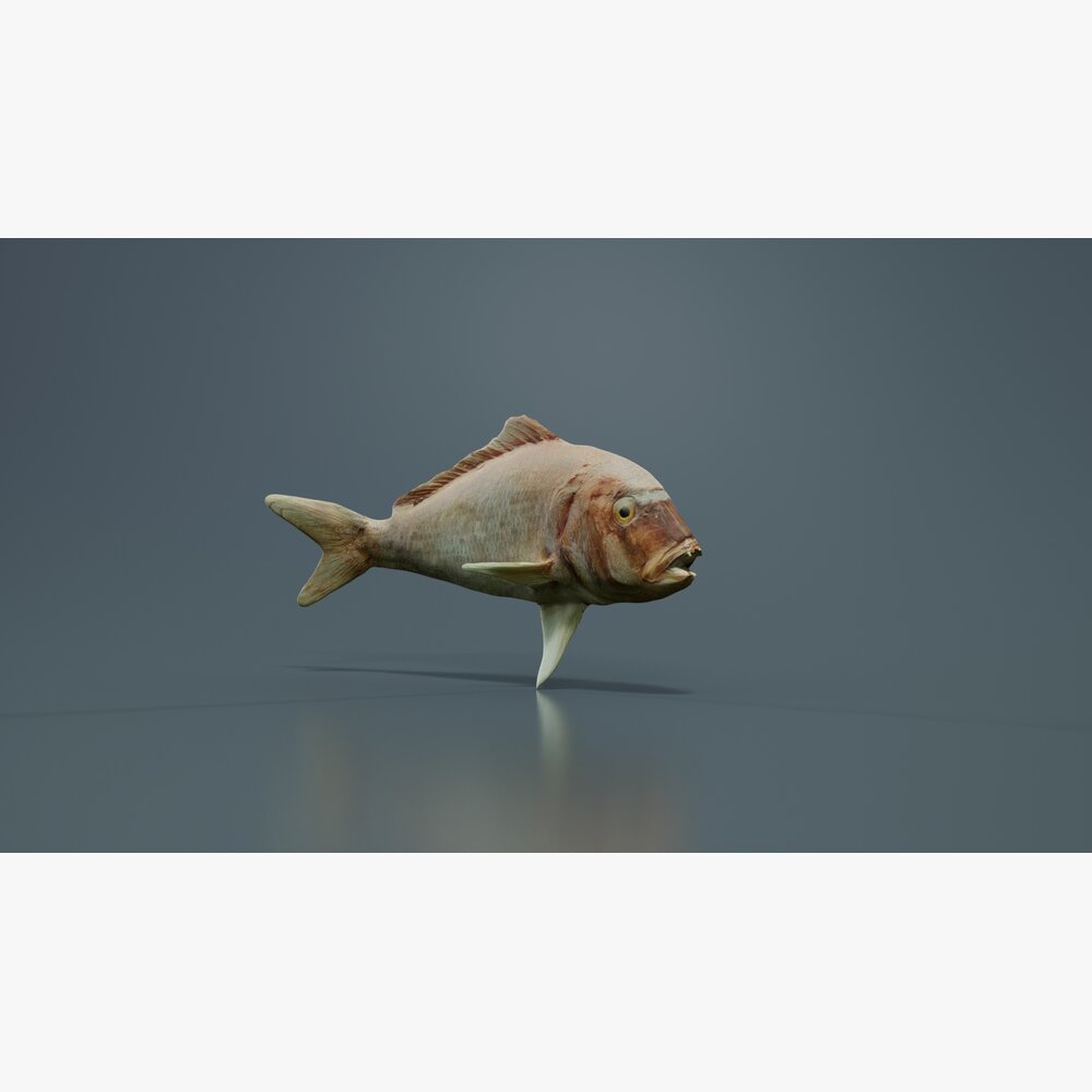 Prehistoric Fish 3D model - Download Fish on 3DModels.org