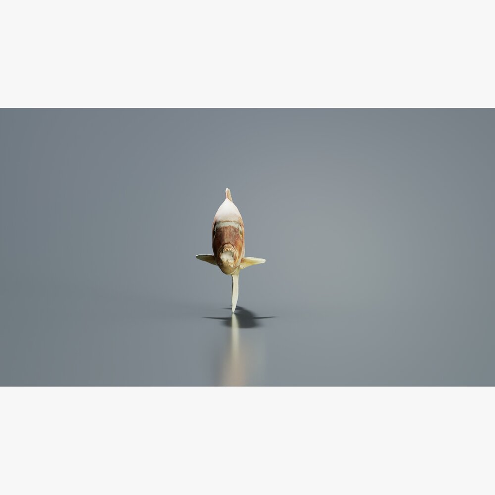 Prehistoric Fish 3D model - Download Fish on 3DModels.org
