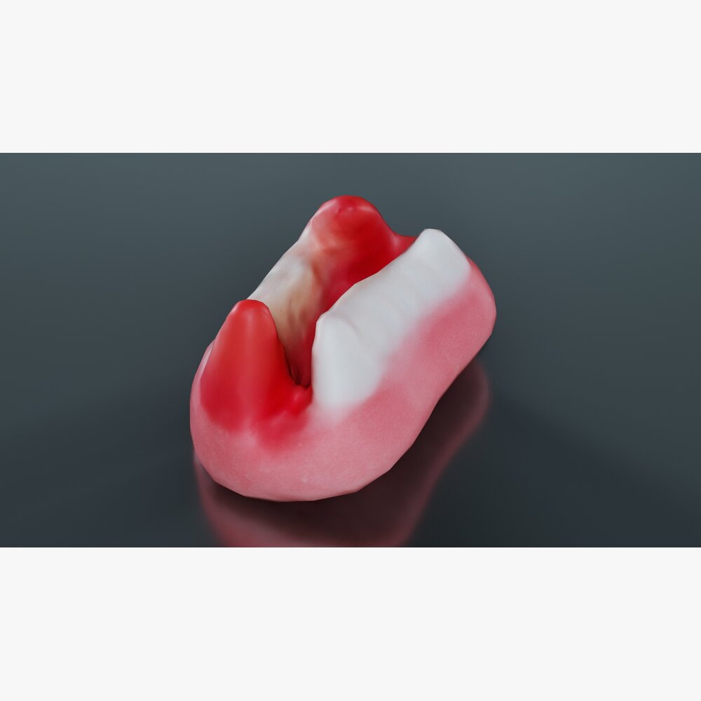 Vampire Teeth 3D model - Download Dessert on 3DModels.org