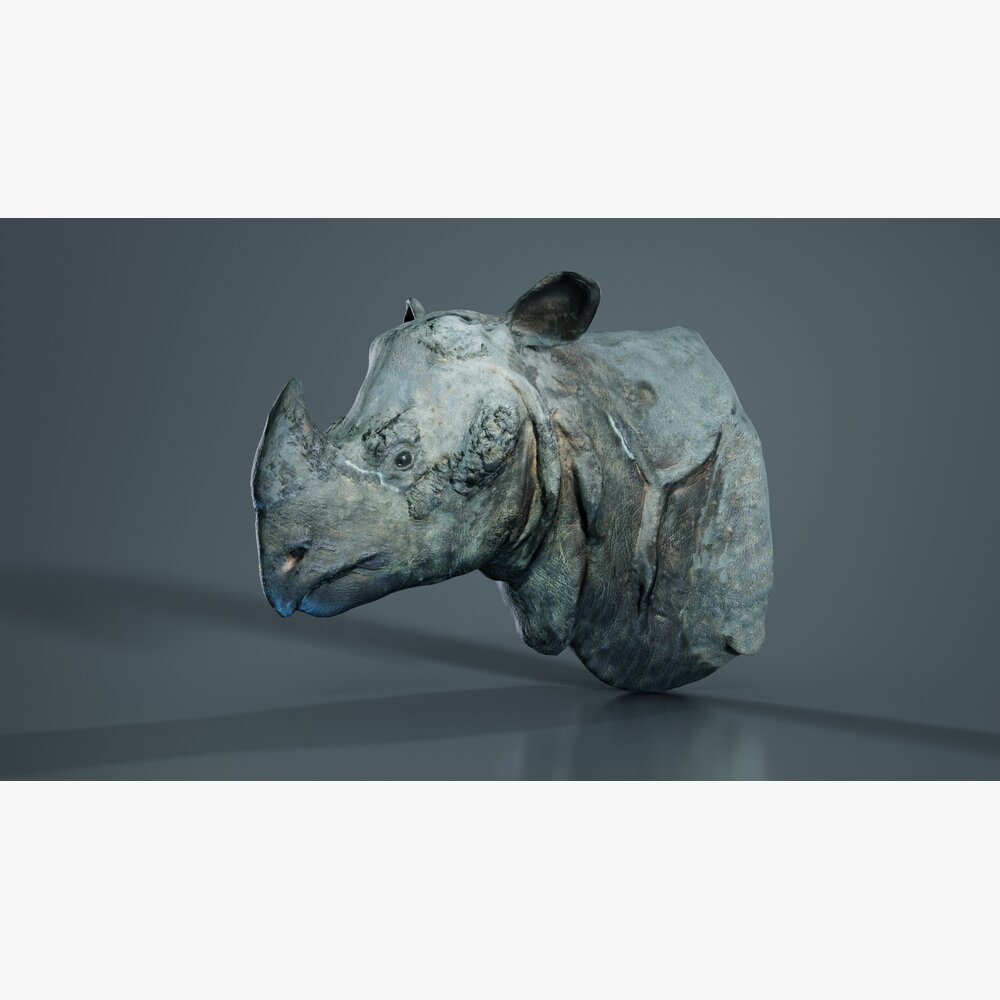 Rhino Head 3D model - Download Decoration on 3DModels.org