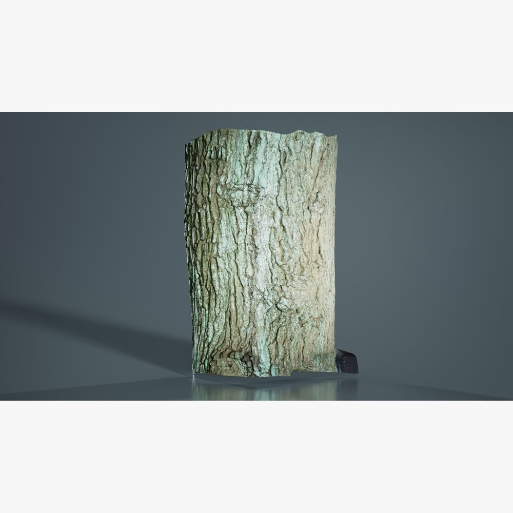 Circle Bark 3D model - Download Landscapes on 3DModels.org