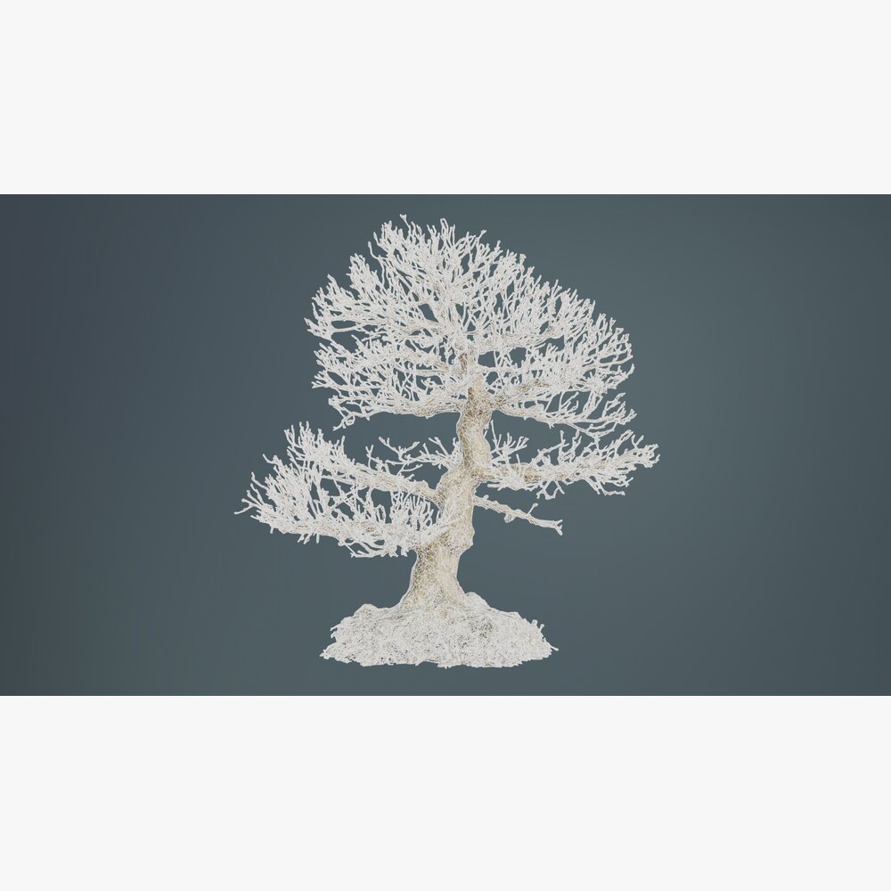 Dried Bonsai Tree with Twisted Gnarled Branches 3D model - Download ...