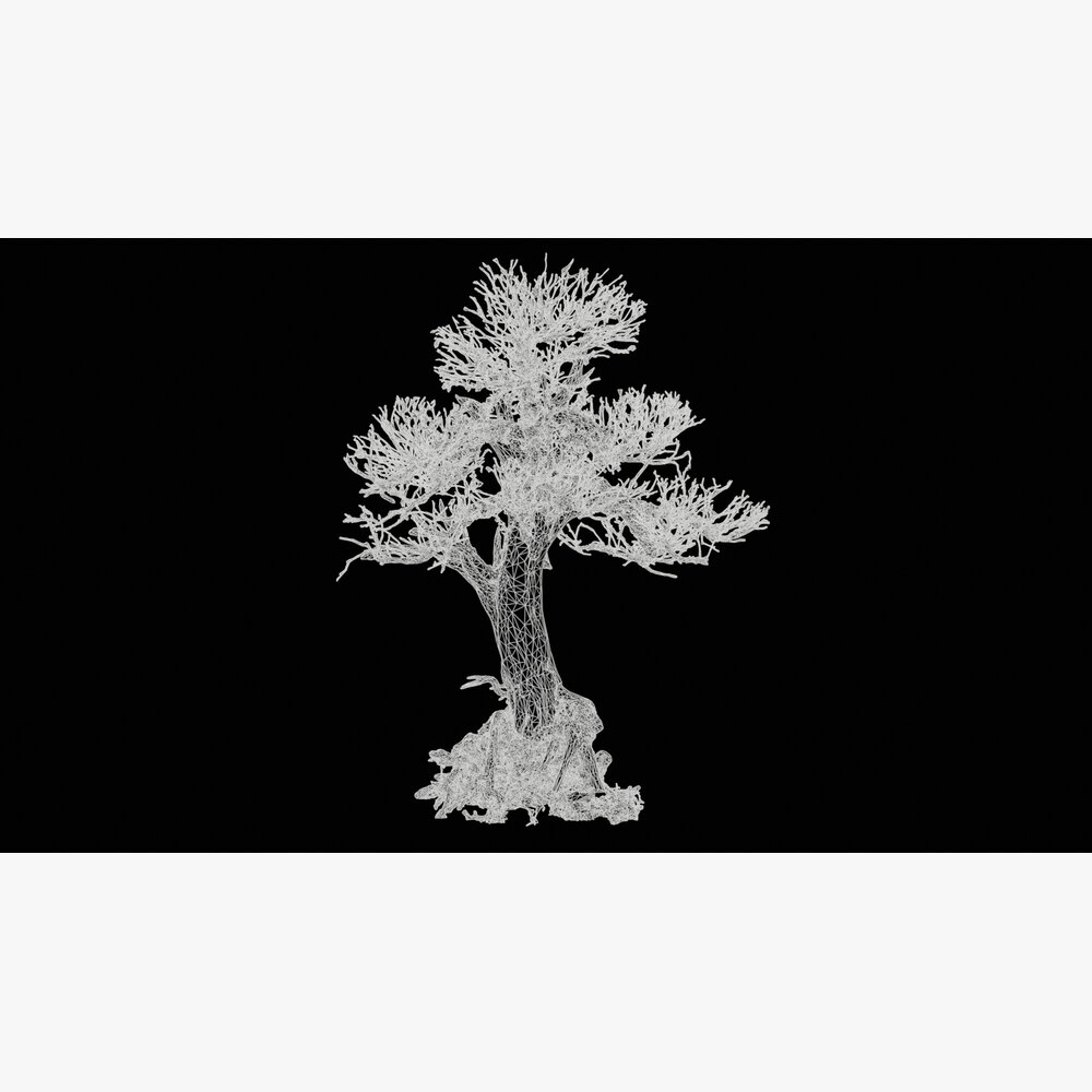 Dead Bonsai with Gnarled Branches and Roots 3D model - Download Trees ...