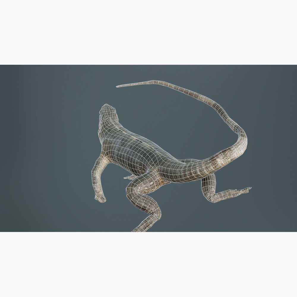 Salamander 3D model - Download Reptile on 3DModels.org