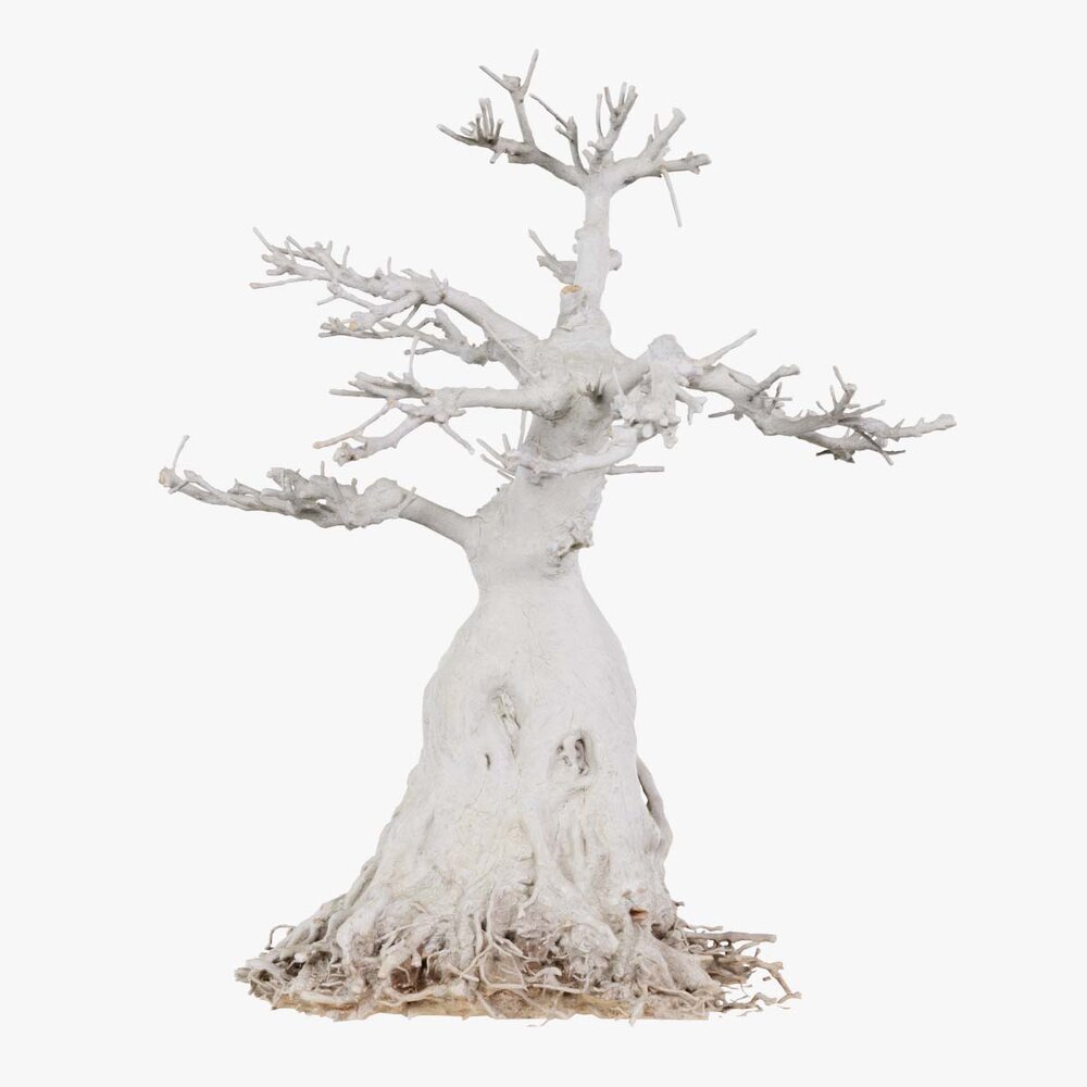 Dead Bonsai Tree with Gnarled Roots 3D model - Download Trees on ...