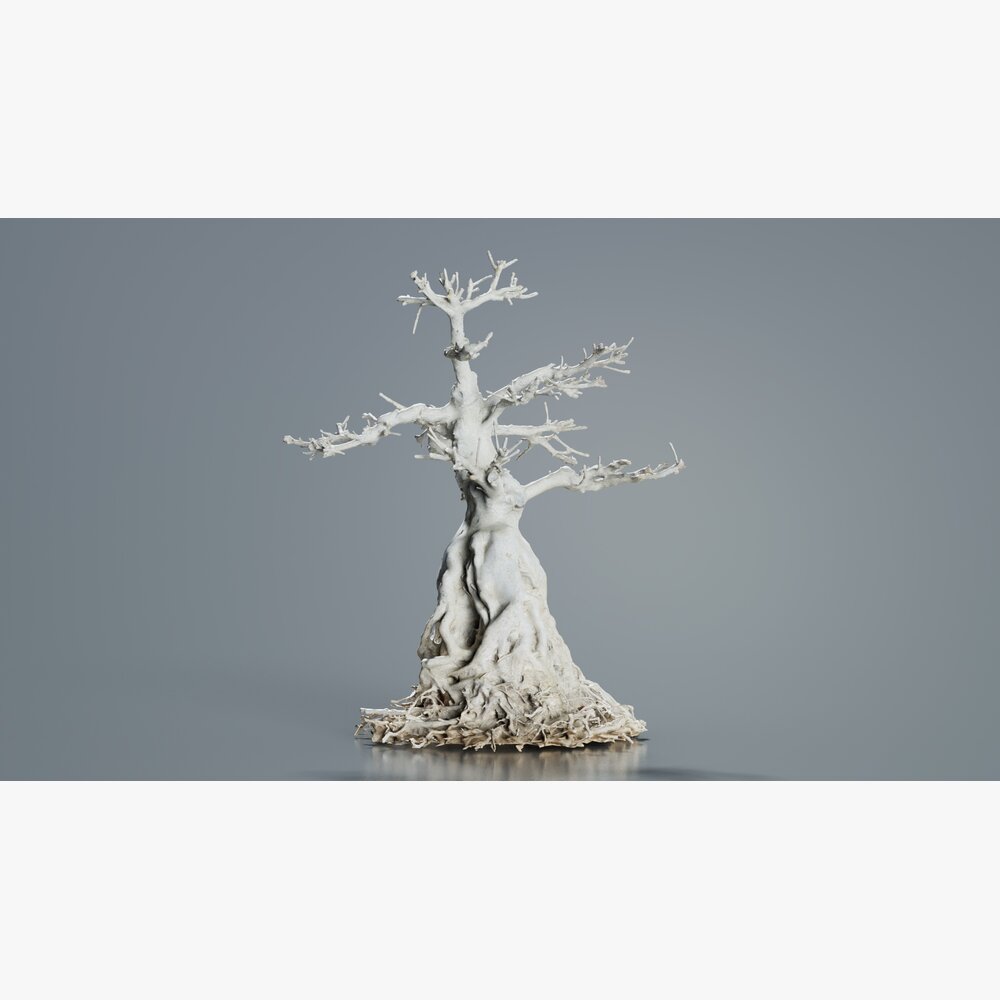 Dead Bonsai Tree with Gnarled Roots Modelo 3D - Baixar Árvores no ...