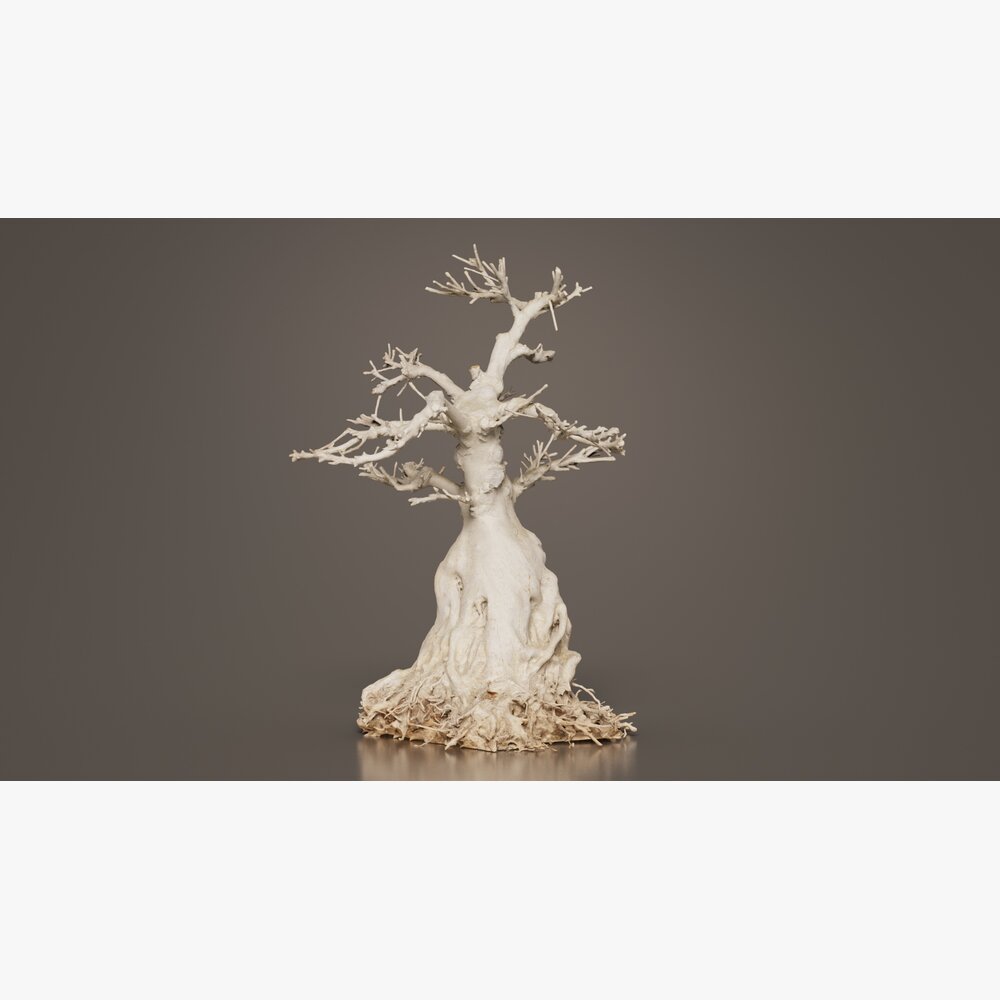Dead Bonsai Tree with Gnarled Roots Modelo 3D - Baixar Árvores no ...