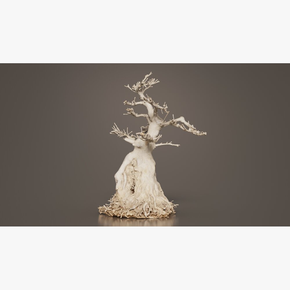 Dead Bonsai Tree with Gnarled Roots Modelo 3D - Baixar Árvores no ...