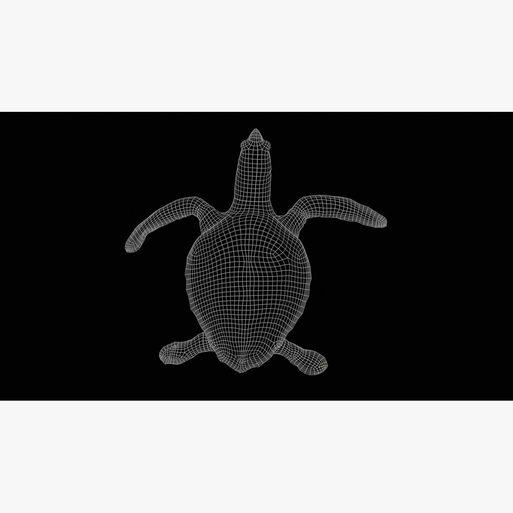Sea Turtle 3D model - Download Reptile on 3DModels.org