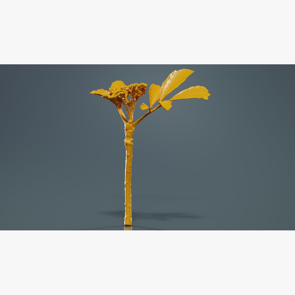 Young Elderberry Sprout with Green Buds Modelo 3D - Descargar Árboles ...