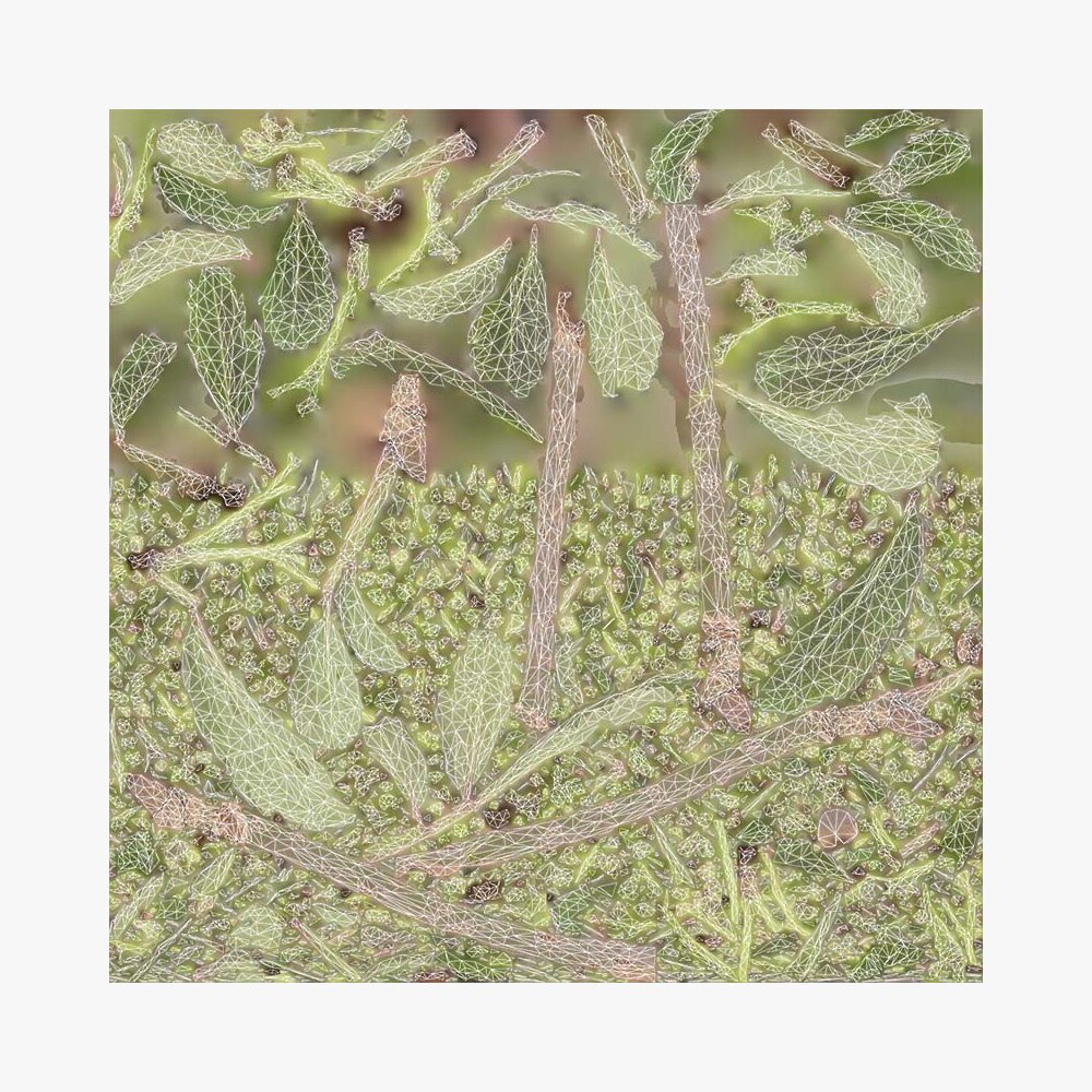 Young Elderberry Sprout with Green Buds Modelo 3D - Descargar Árboles ...