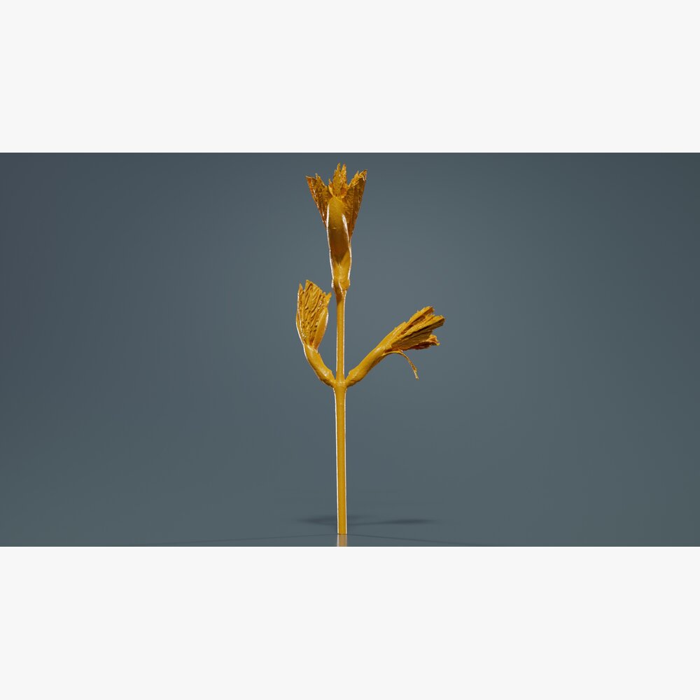 Sycamore Maple Sapindaceae Sprout 3D model - Download Trees on 3DModels.org