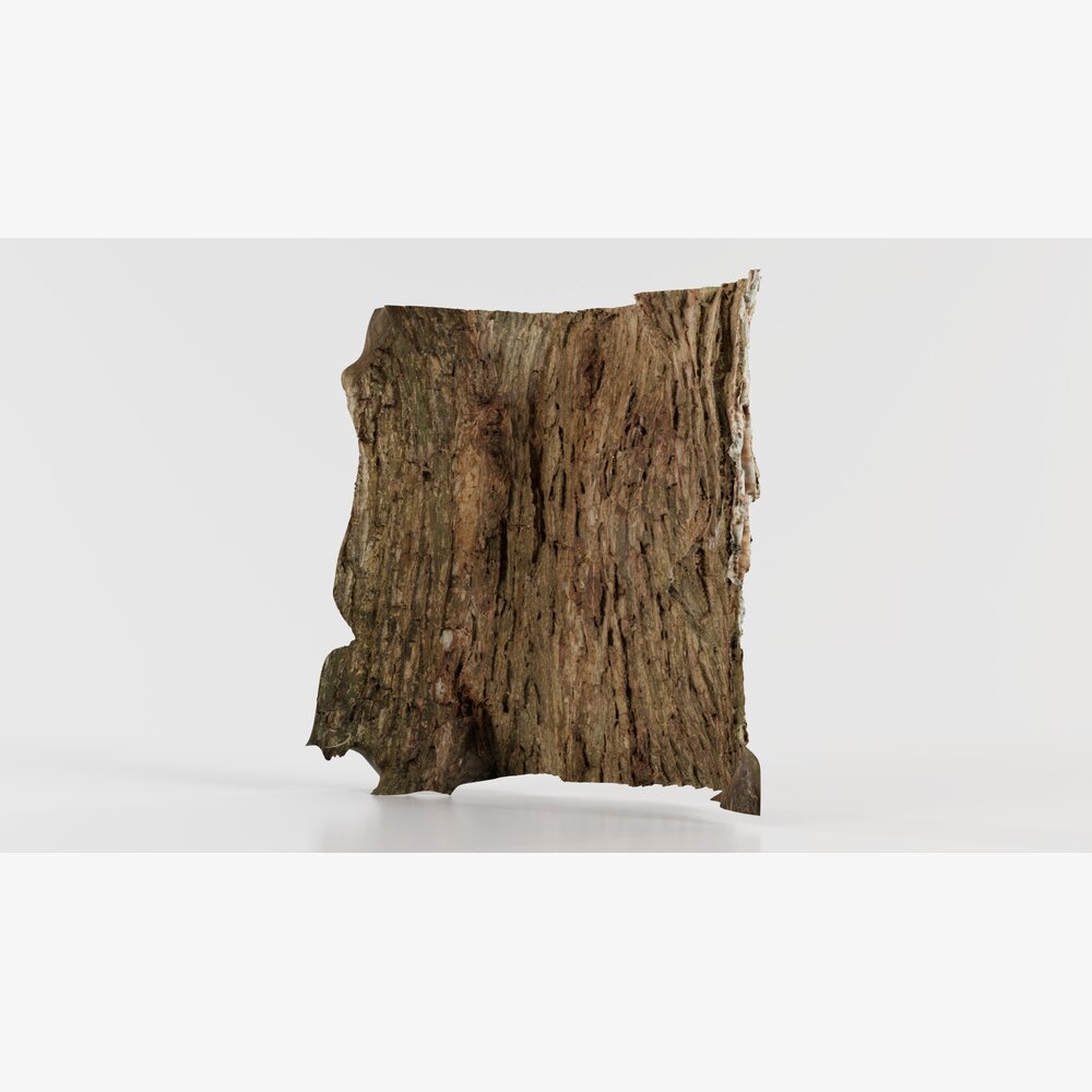 Tree Bark Chunk 3D model - Download Landscapes on 3DModels.org