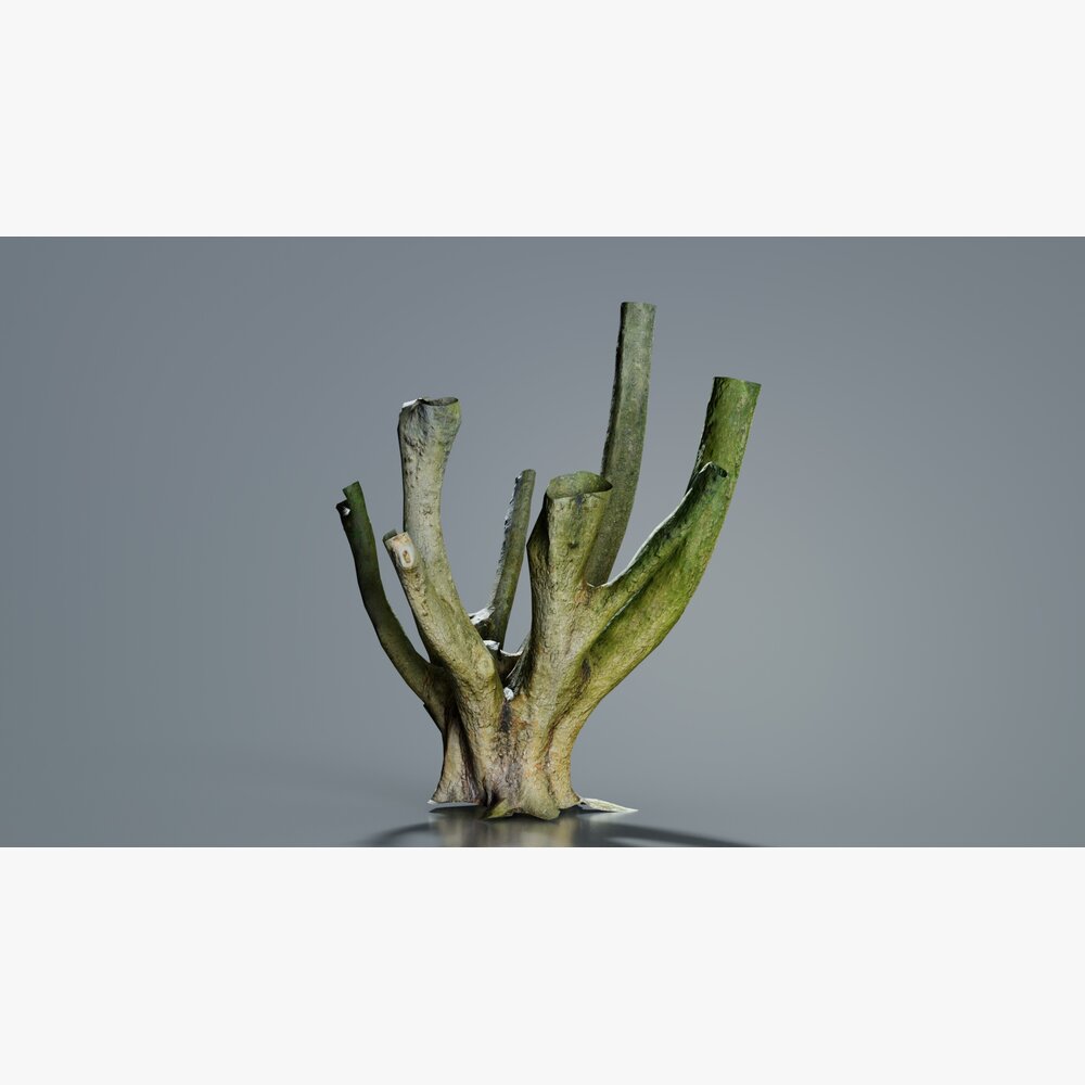 Wide Base With Offshoots Tree Trunk 3D model - Download Landscapes on ...