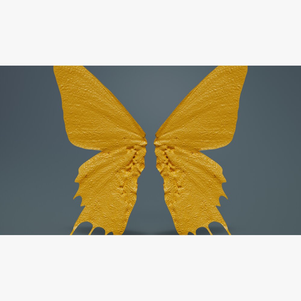Urania Leilus Madagascan Sunset Moth 3D model - Download Insects on ...