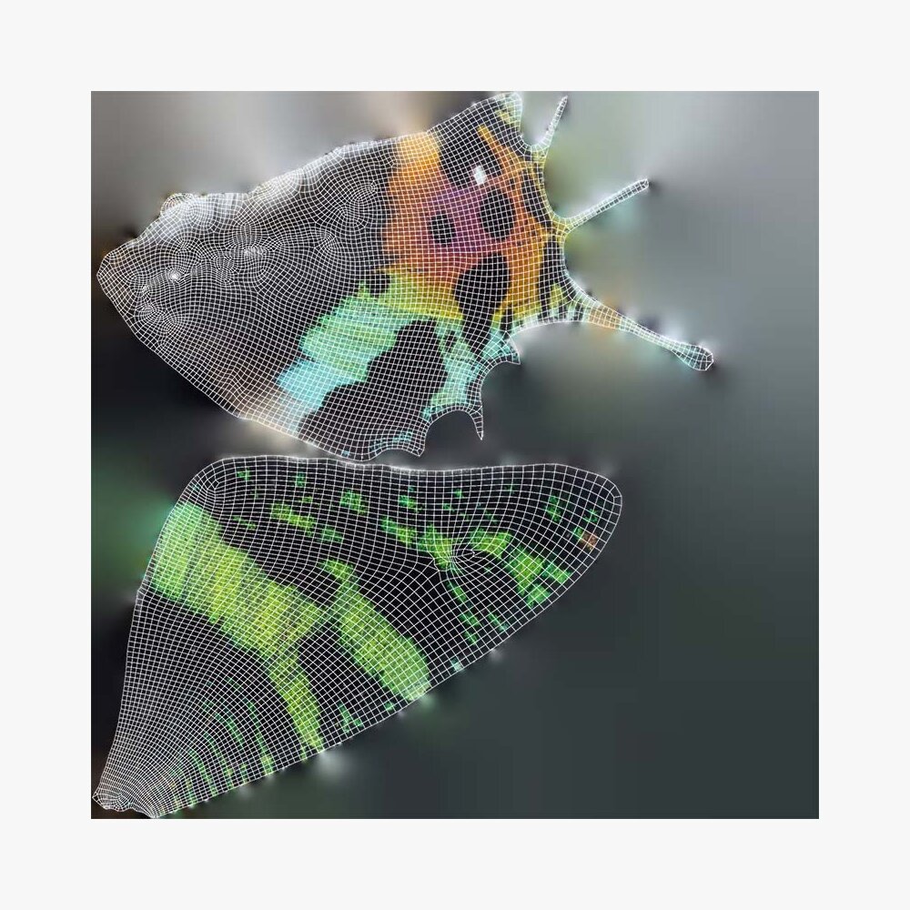 Urania Leilus Madagascan Sunset Moth 3D model - Download Insects on ...