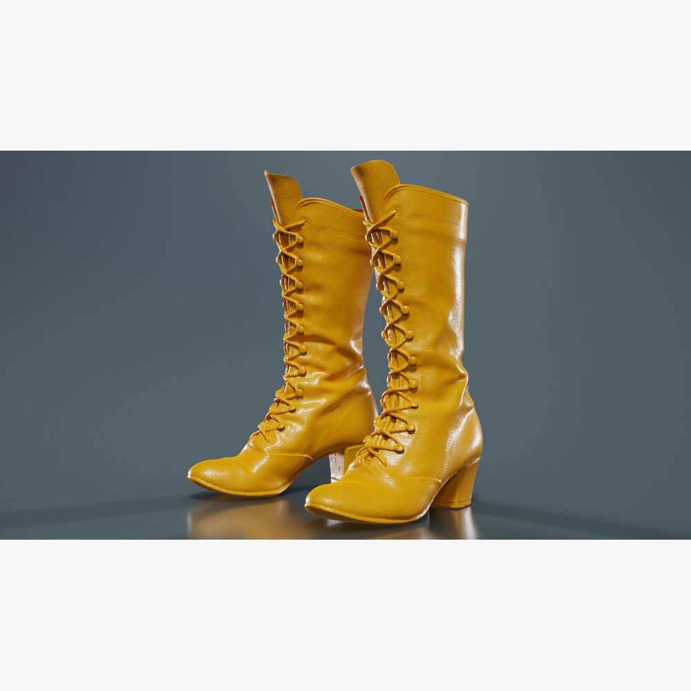 Laced Velvet Boot 3D model - Download Shoes on 3DModels.org