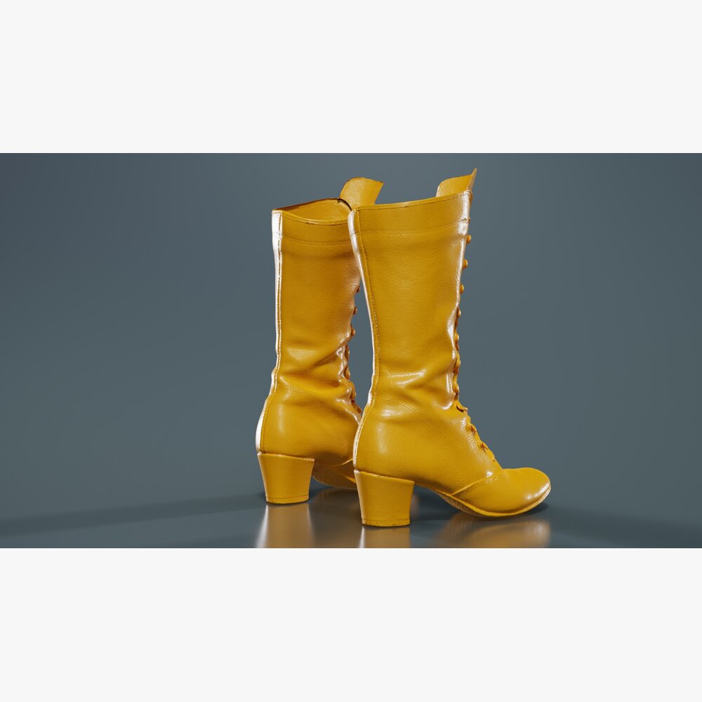 Laced Velvet Boot 3D model - Download Shoes on 3DModels.org
