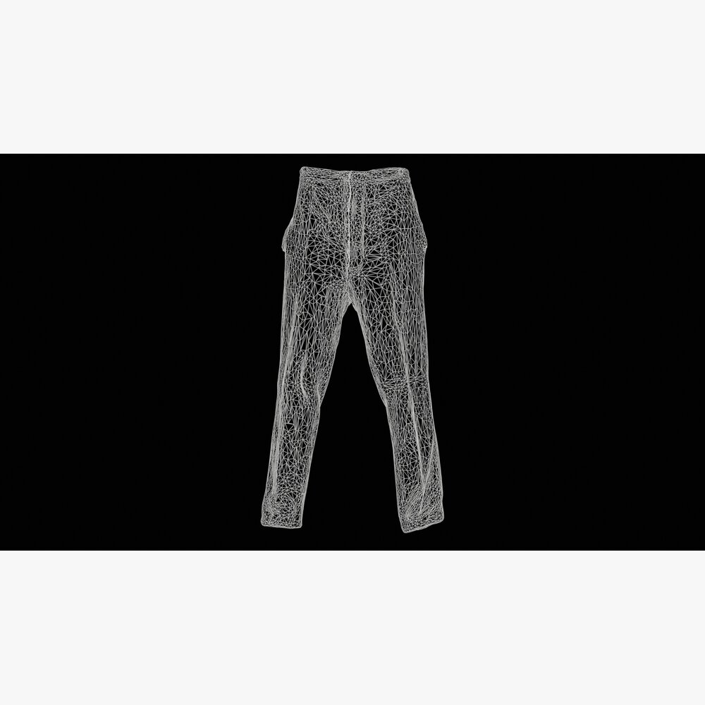 Classic Plaid Trousers 3D model - Download Trousers on 3DModels.org