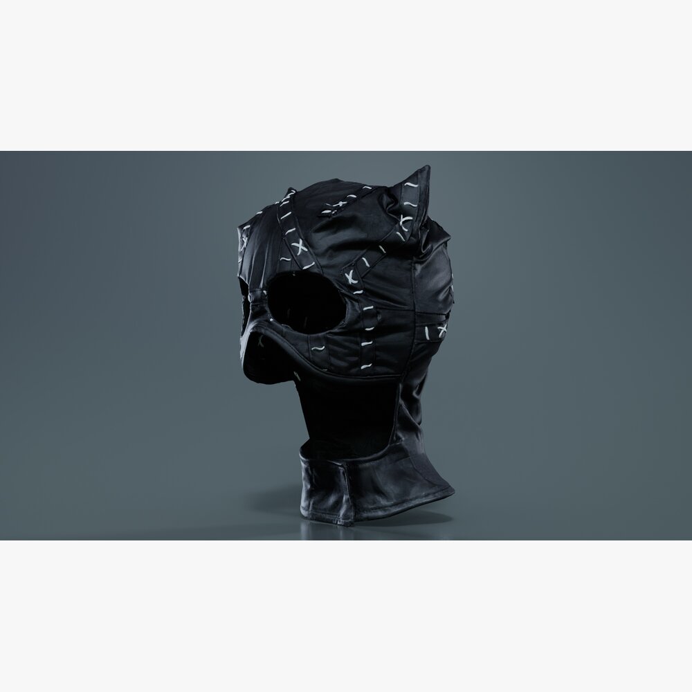 Catwoman Mask 3D model - Download Accessories on 3DModels.org