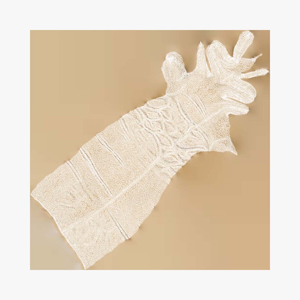 Diva Gloves Wrinkles 3D model - Download Accessories on 3DModels.org