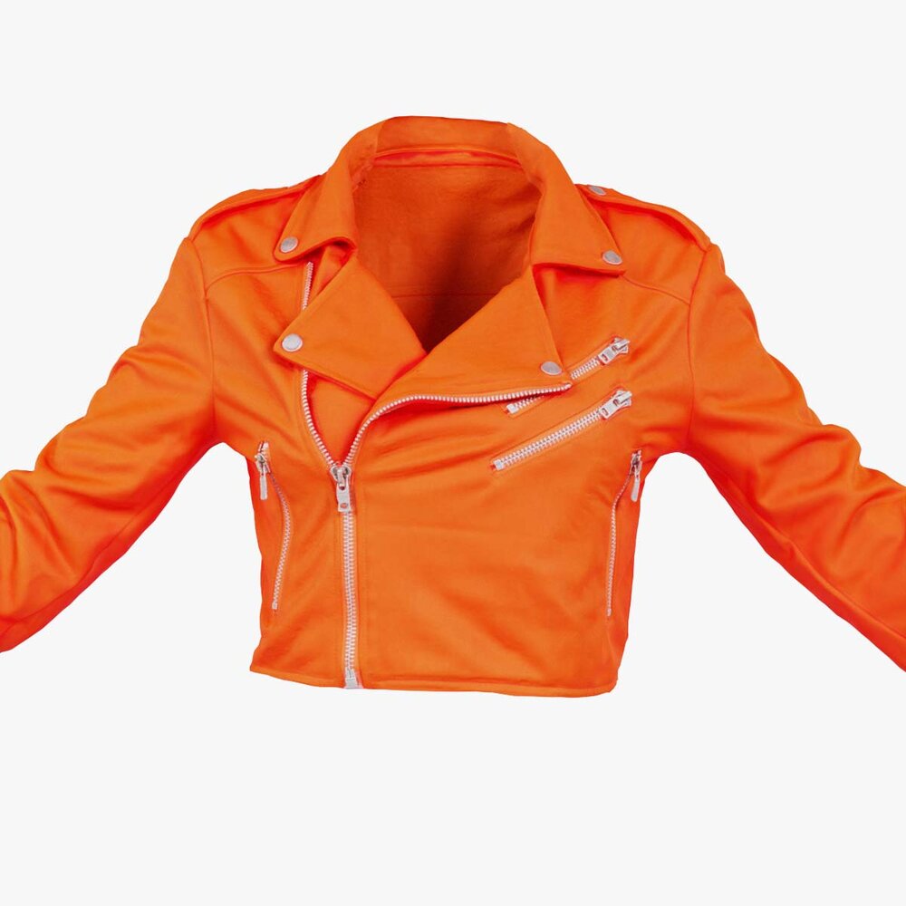 Flash Zipper Jacket 3D model - Download Coats on 3DModels.org