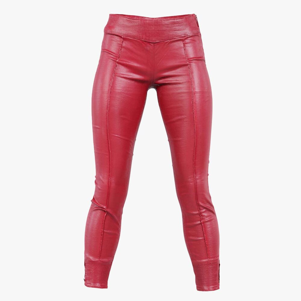 Frontal Detail Leather Trousers 3D model - Download Trousers on ...