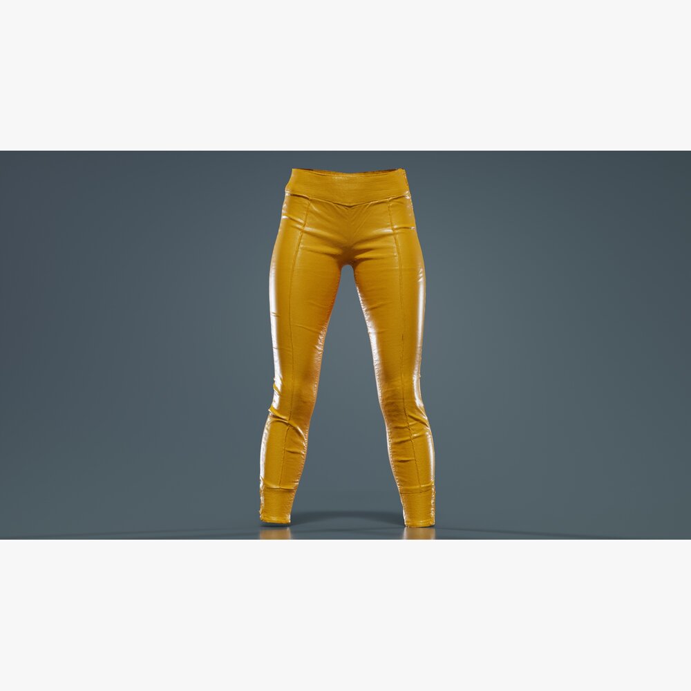 Frontal Detail Leather Trousers 3D model - Download Trousers on ...