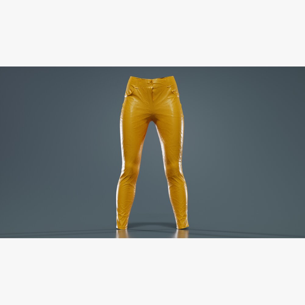 Lovely Vinyl Trousers 3D model - Download Trousers on 3DModels.org