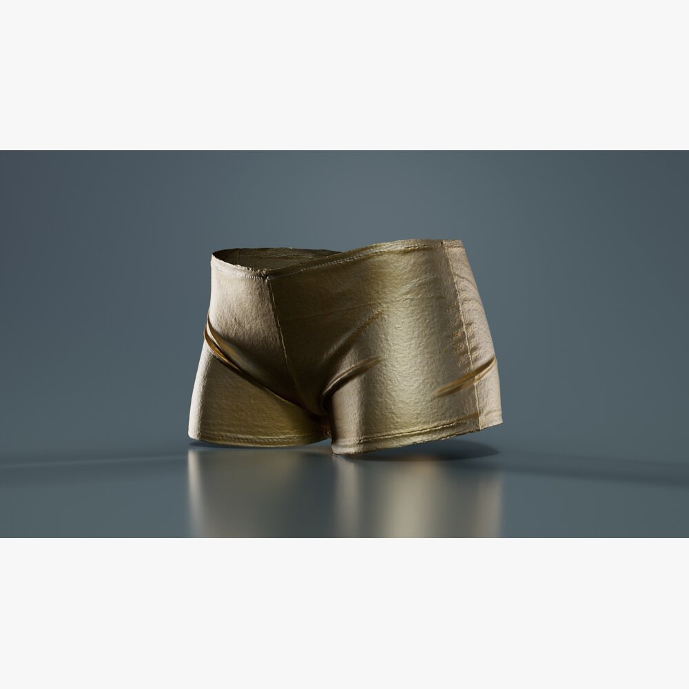 Metallic Easy Shorts 3D model - Download Trousers on 3DModels.org