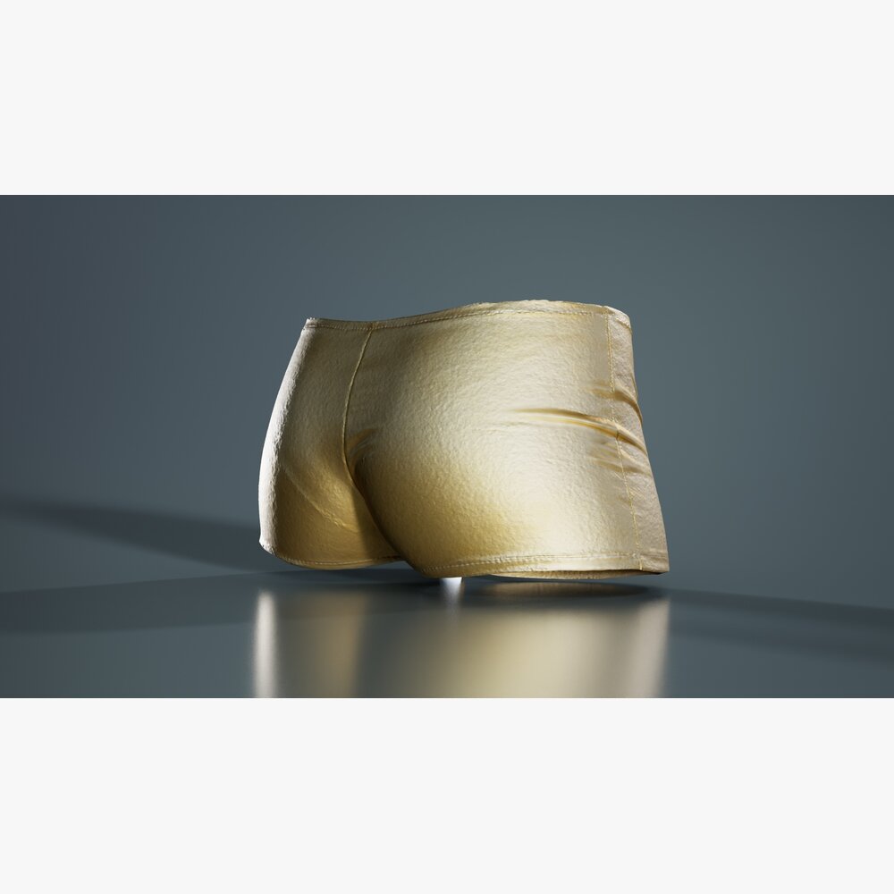 Metallic Easy Shorts 3D model - Download Trousers on 3DModels.org