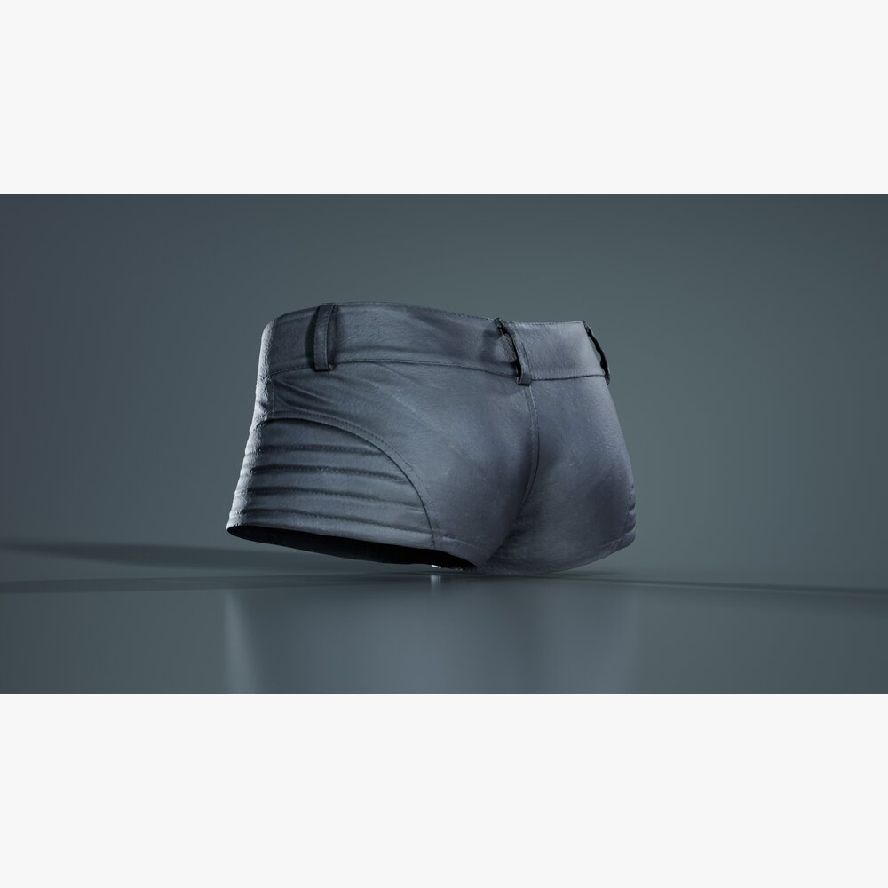 Side Padded Leather Shorts 3D model - Download Trousers on 3DModels.org