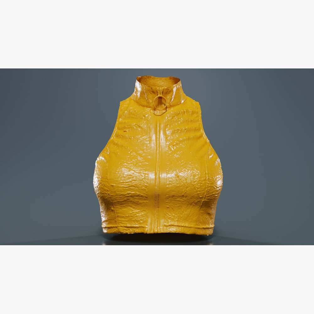 Tiger Top 3D model - Download Shirts on 3DModels.org