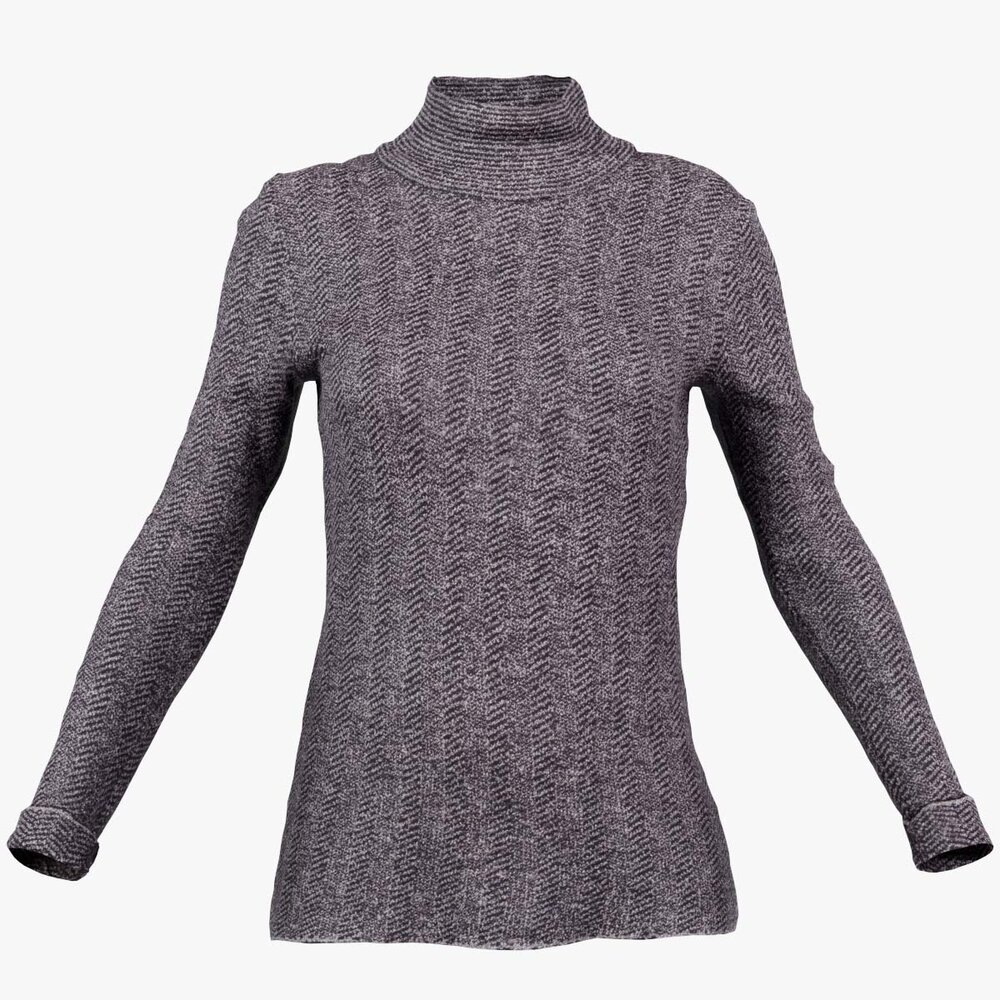 Brown Turtle Neck Pull Top 3D model - Download Shirts on 3DModels.org