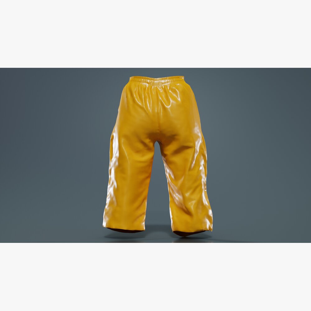 Cargo Pants 3D model - Download Trousers on 3DModels.org