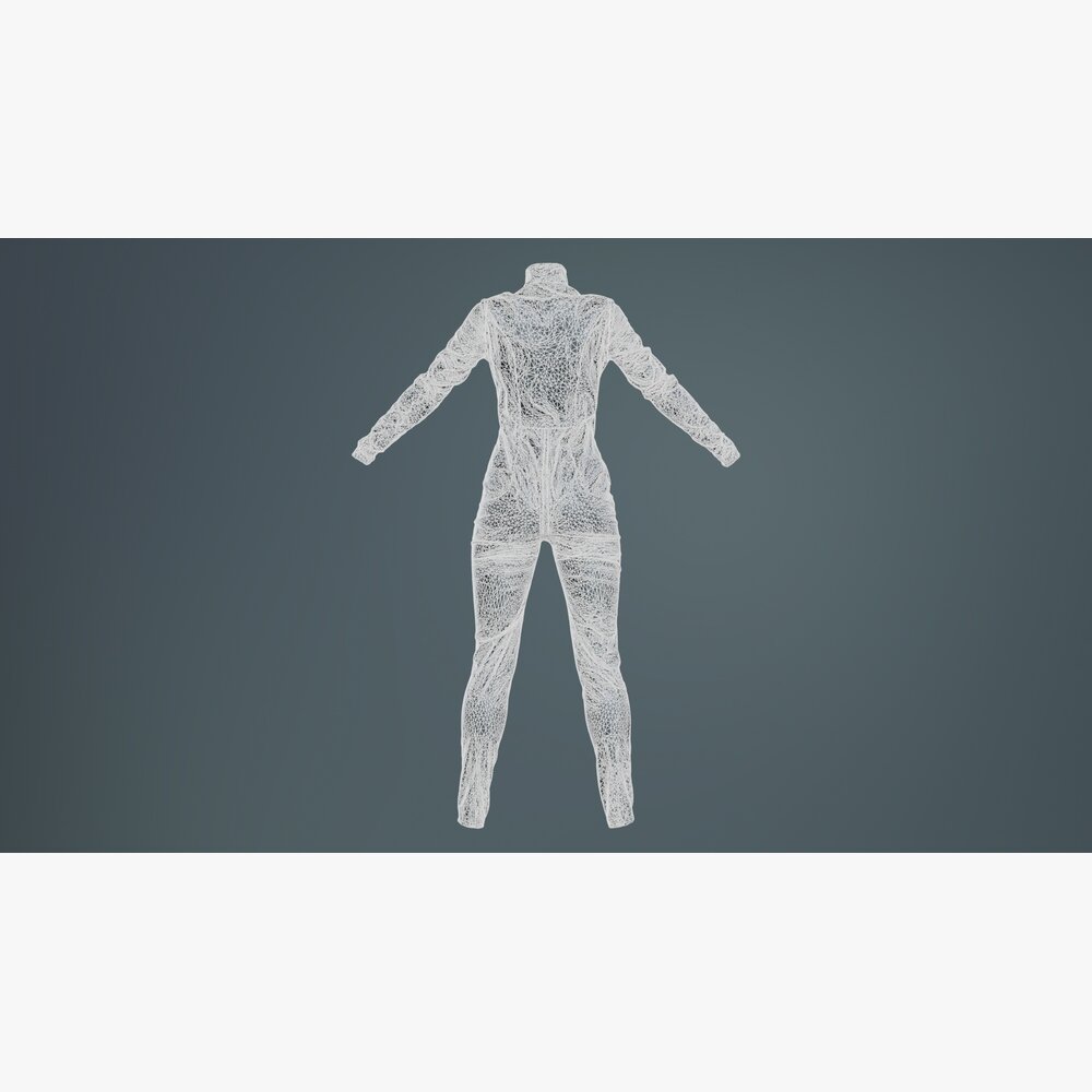 Shiny Detailed Catsuit 3D model - Download Suits on 3DModels.org