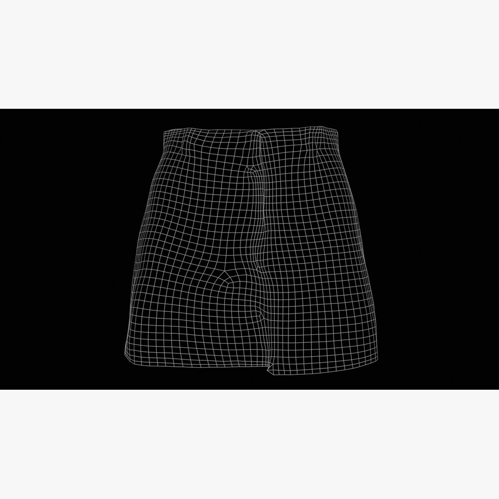 Shiny Skirt 3D model - Download Dresses on 3DModels.org