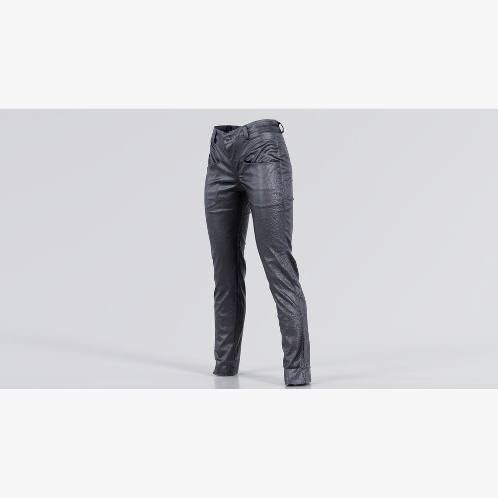 Shiny Vinyl Decoration Pants 3D model - Download Trousers on 3DModels.org