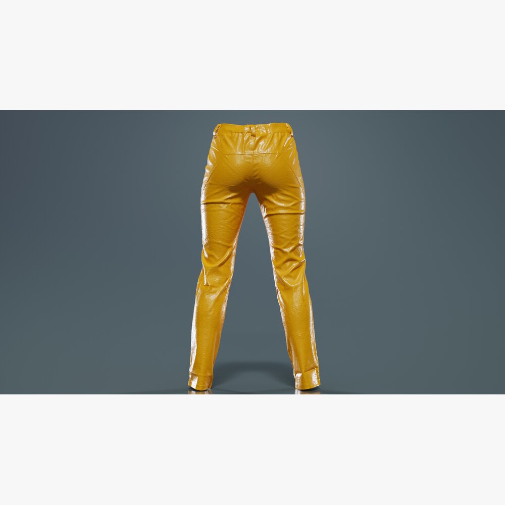 Shiny Vinyl Decoration Pants 3D model - Download Trousers on 3DModels.org