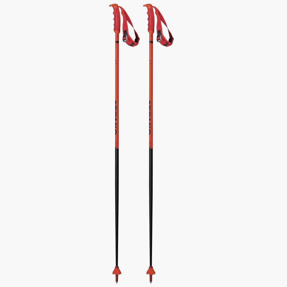 Bâtons de Ski Atomic Redster Modèle 3D - 3DModels.org