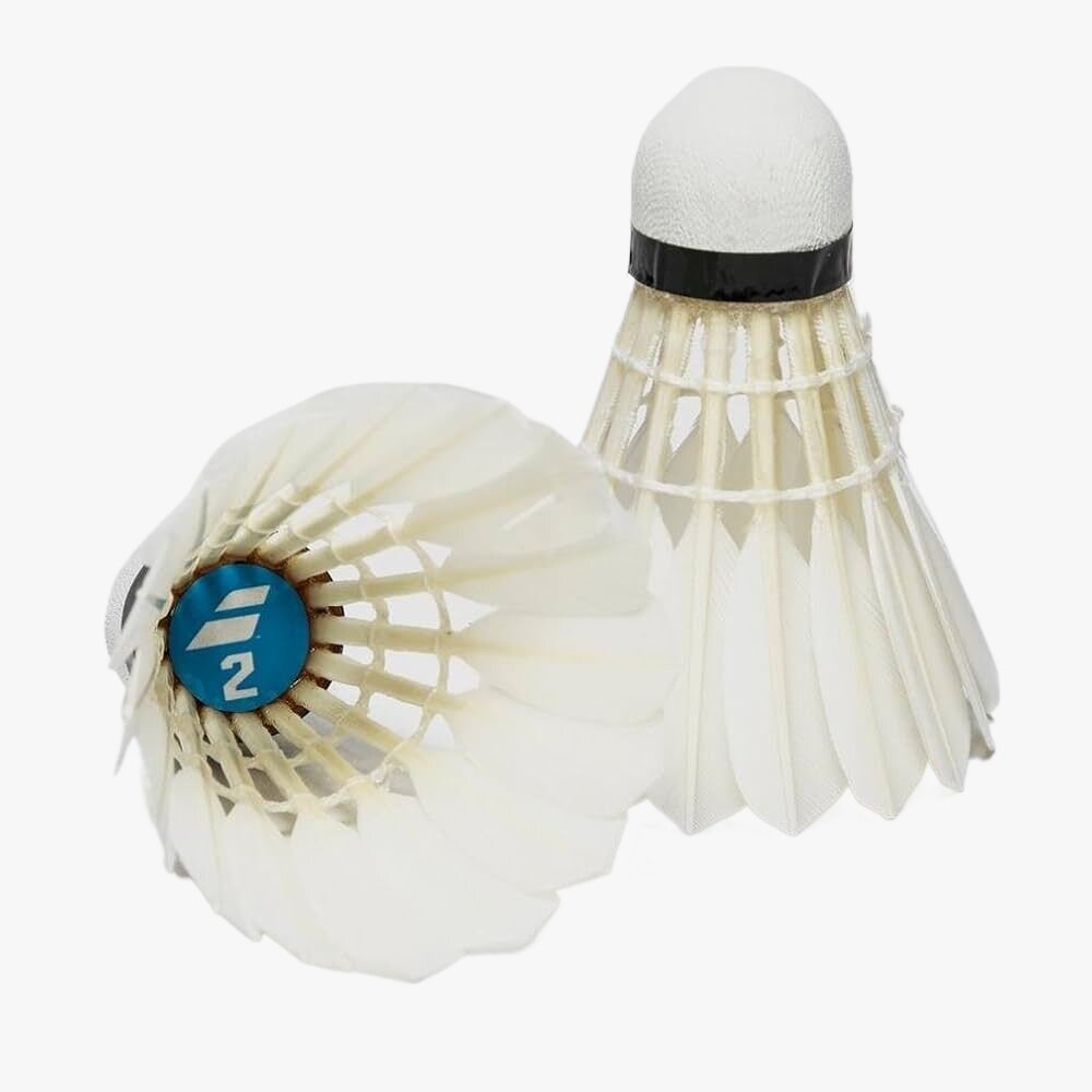 Babolat 2 Feather Shuttlecock 3D model - 3DModels.org