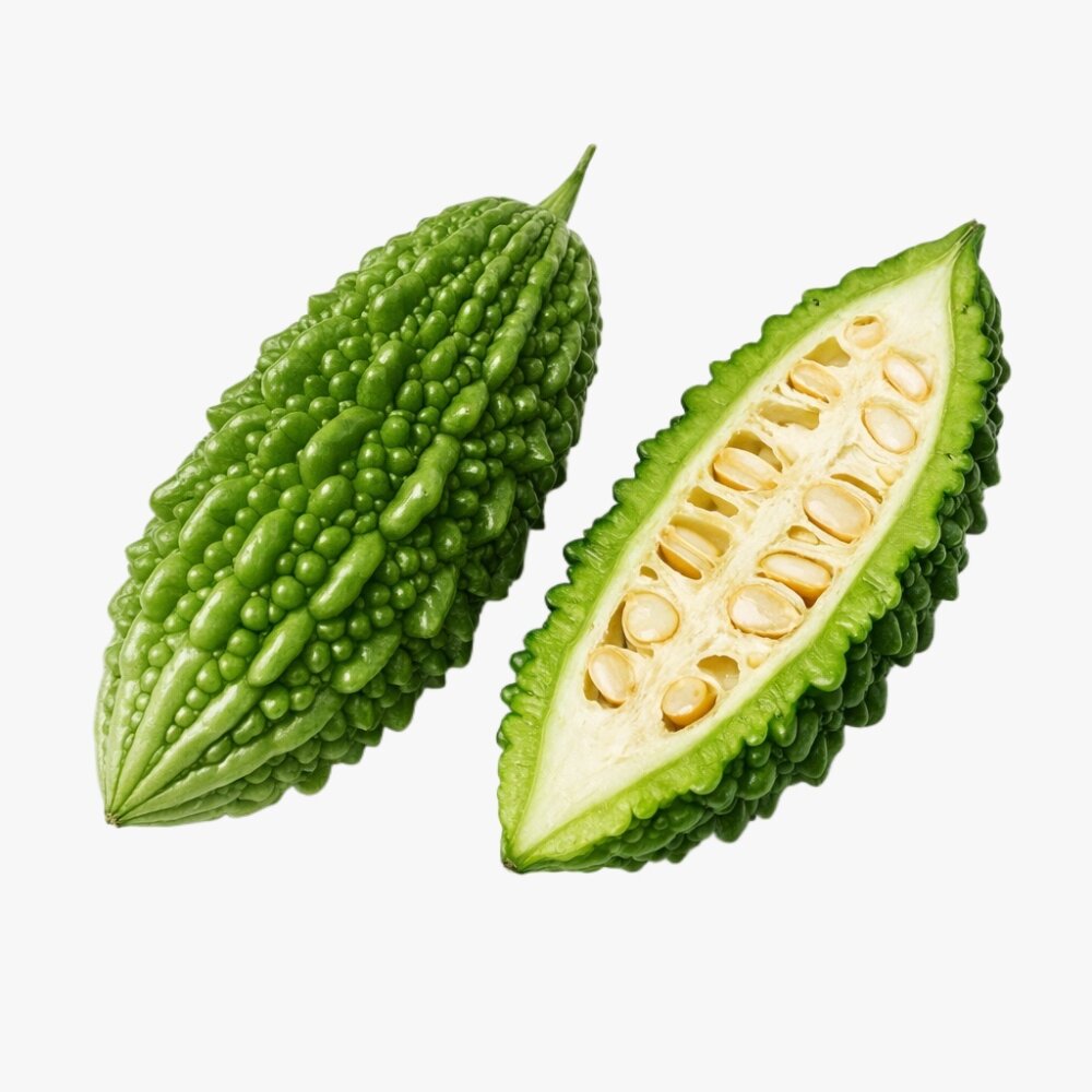 Melón Amargo Modelo 3D - 3DModels.org