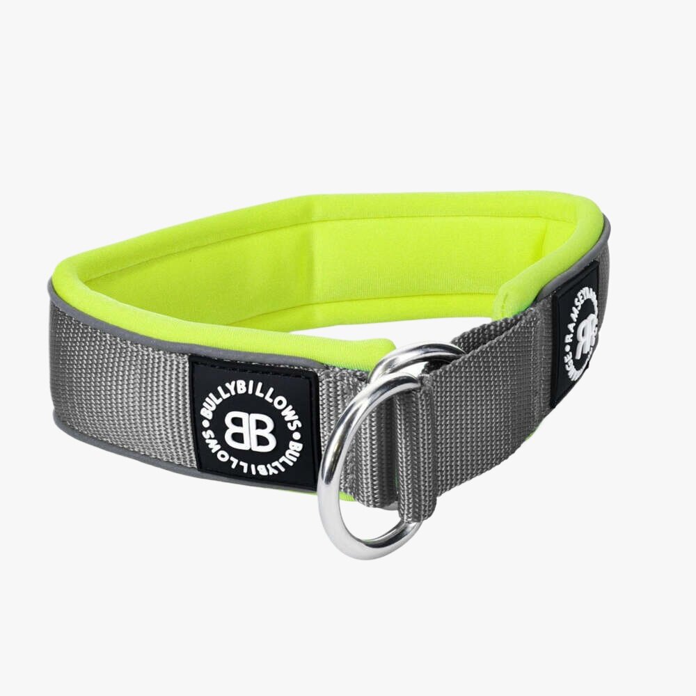 Bully Billows Tactical Dog Collar 3D model - 3DModels.org