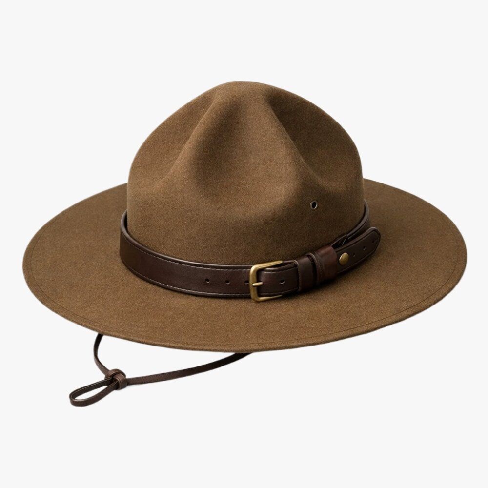 Campaign Hat 3D model - 3DModels.org