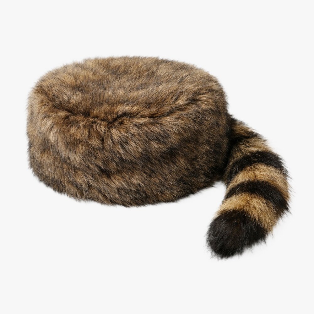 Coonskin Cap 3D model - 3DModels.org