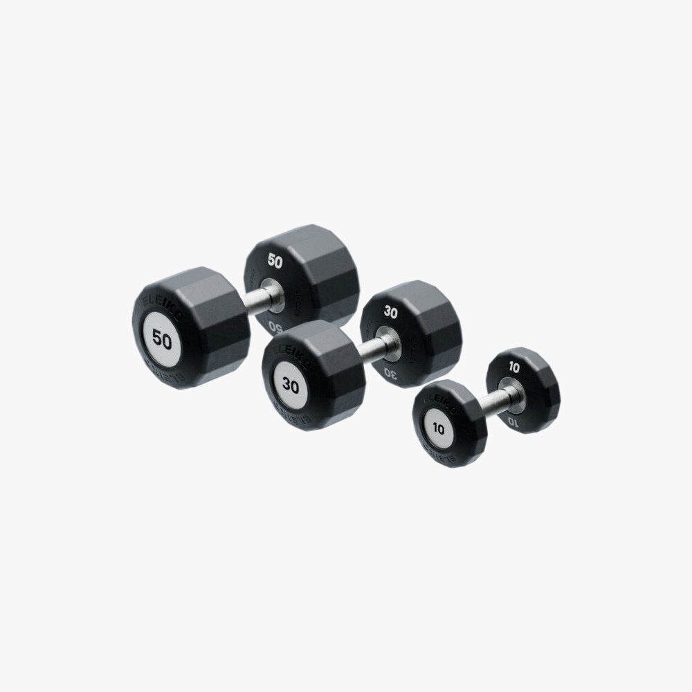 Eleiko Evo Dumbbells 3D model - 3DModels.org
